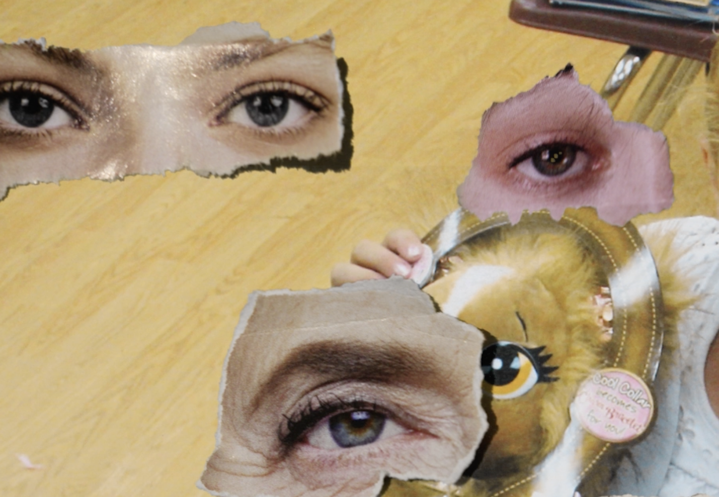 Issue 167 — TriQuarterly